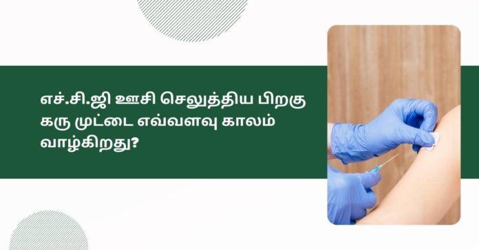 ஃபோலிகுலர் ஆய்வுயில் எச்.சி.ஜி (HCG) ஊசியின் வேலை என்ன? - Role of hCG ...